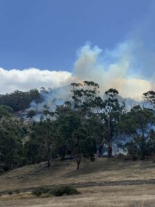 Cooler reprieve - Gannawarra Times